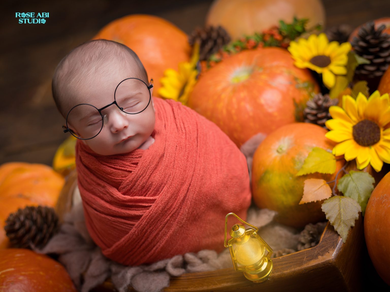 نمونه عکس نوزادی آتلیه -آتلیه عکاسی رز آبی تبریز- بهترین آتلیه نوزاد ...